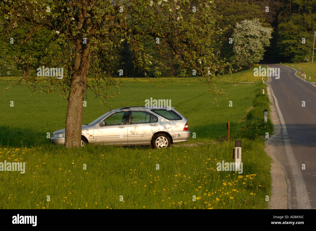 road Moststrasse, car parked under the tree Stock Photo - Alamy