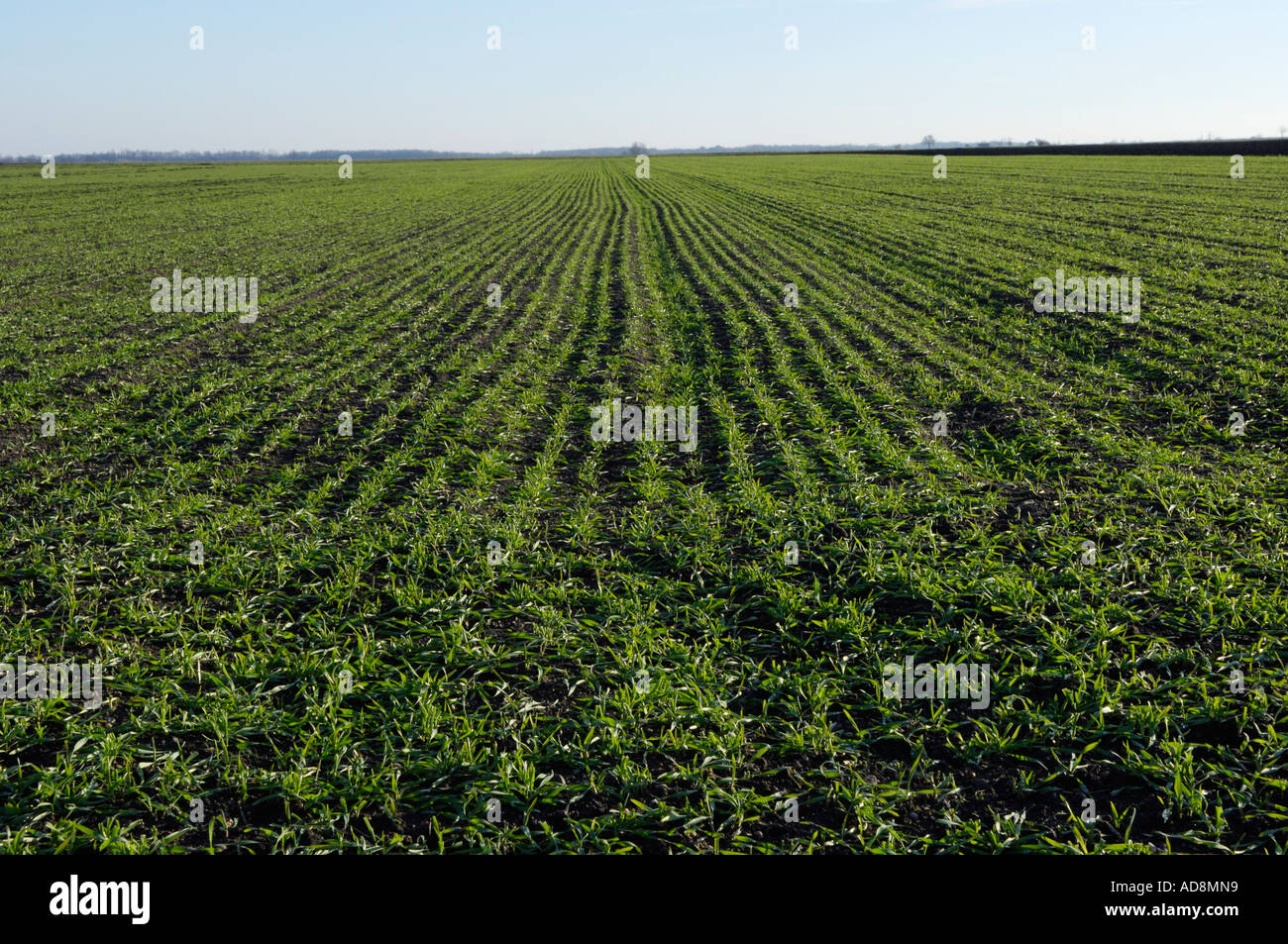 Field annex hi-res stock photography and images - Alamy