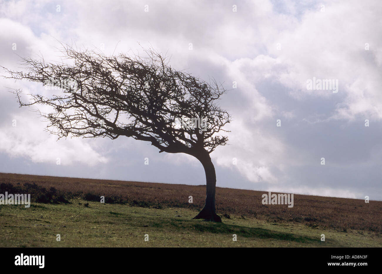Windblown rain hi-res stock photography and images - Alamy