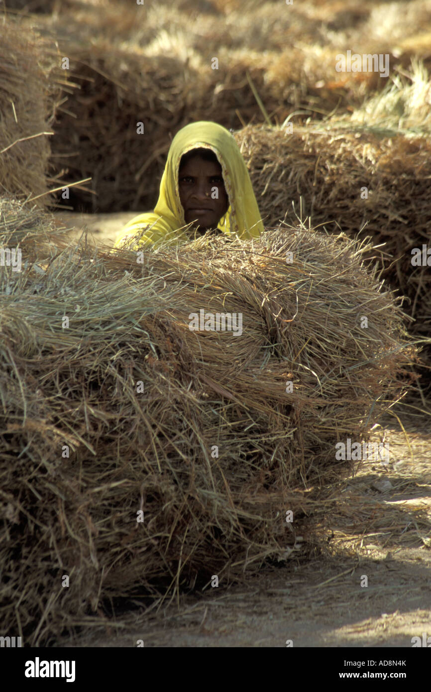 Grain seller hi-res stock photography and images - Alamy
