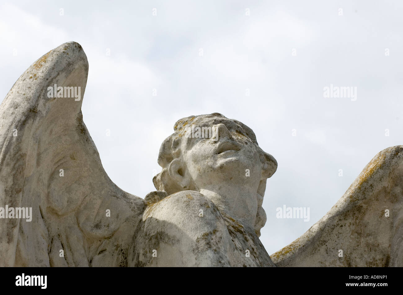statue of an angel Stock Photo - Alamy