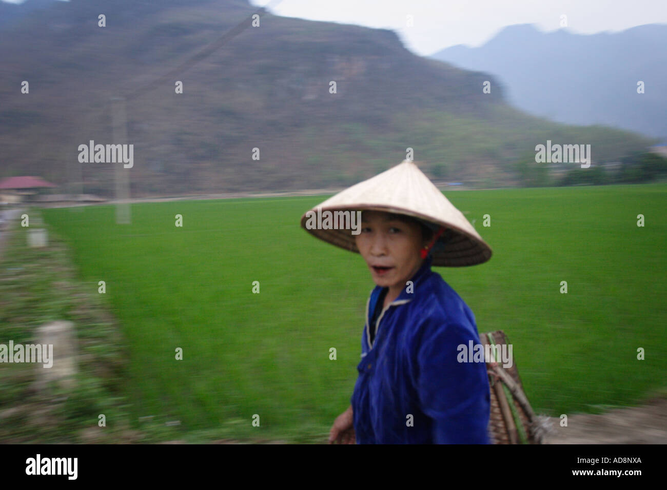 Vietnamses woman hi-res stock photography and images - Alamy