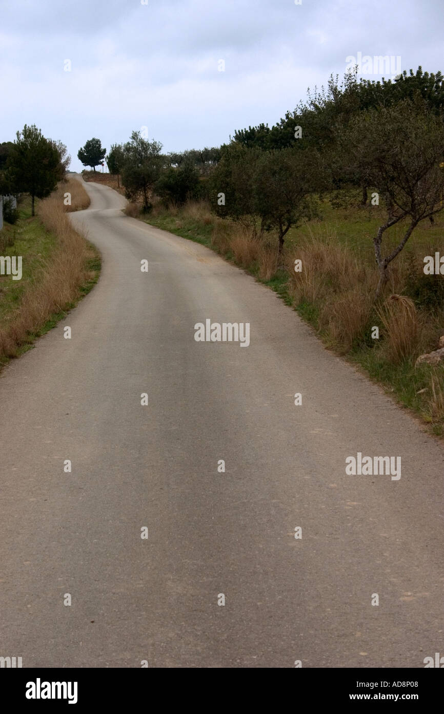 Conduction pathway hi-res stock photography and images - Alamy