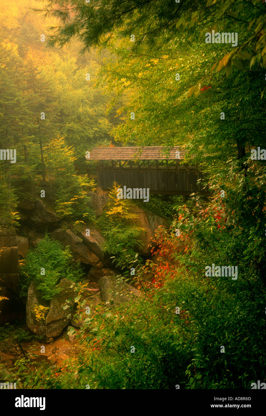 20 295 Sentinel pine covered bridge Franconia Notch State Park New ...