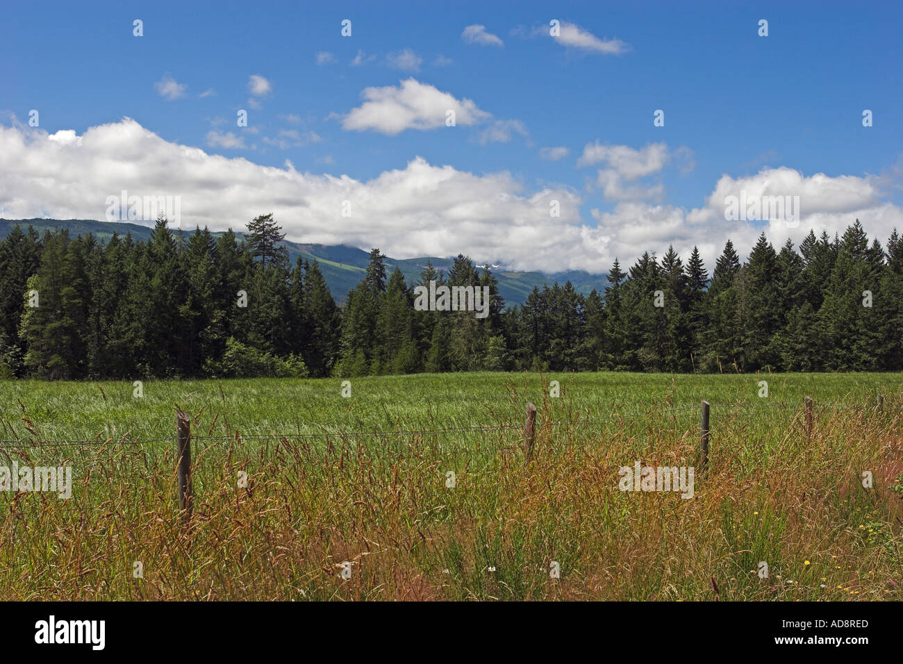 Errington british columbia hi-res stock photography and images - Alamy