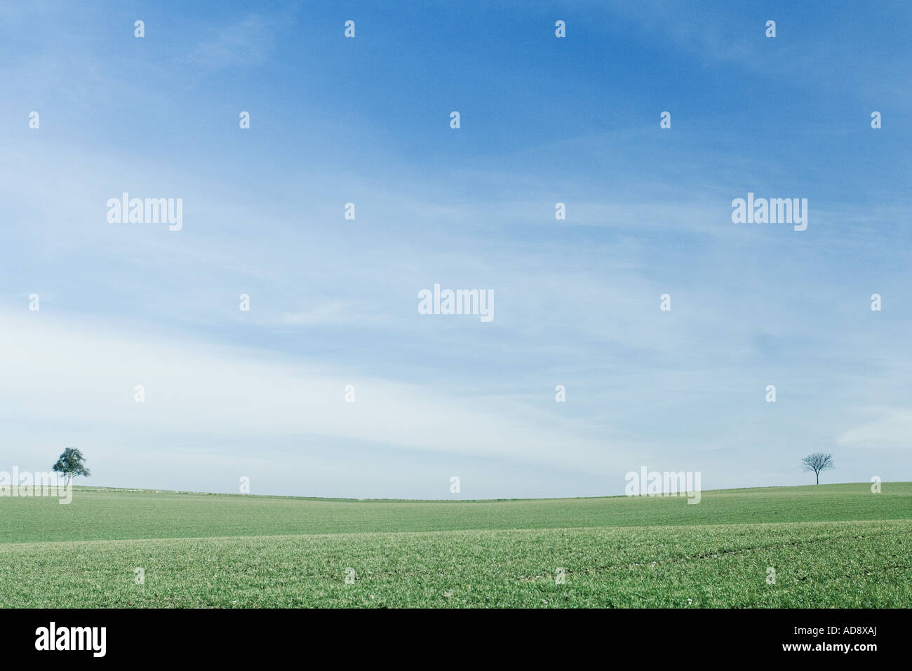 Green field with two trees Stock Photo - Alamy