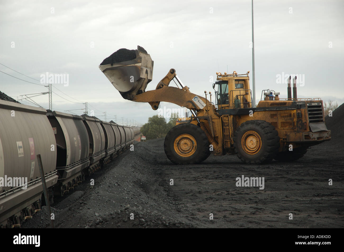 coal train being loaded central queensland dsca 4295a Stock Photo - Alamy