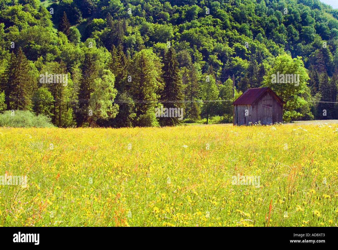Landscape bauges massif french hi-res stock photography and images - Alamy