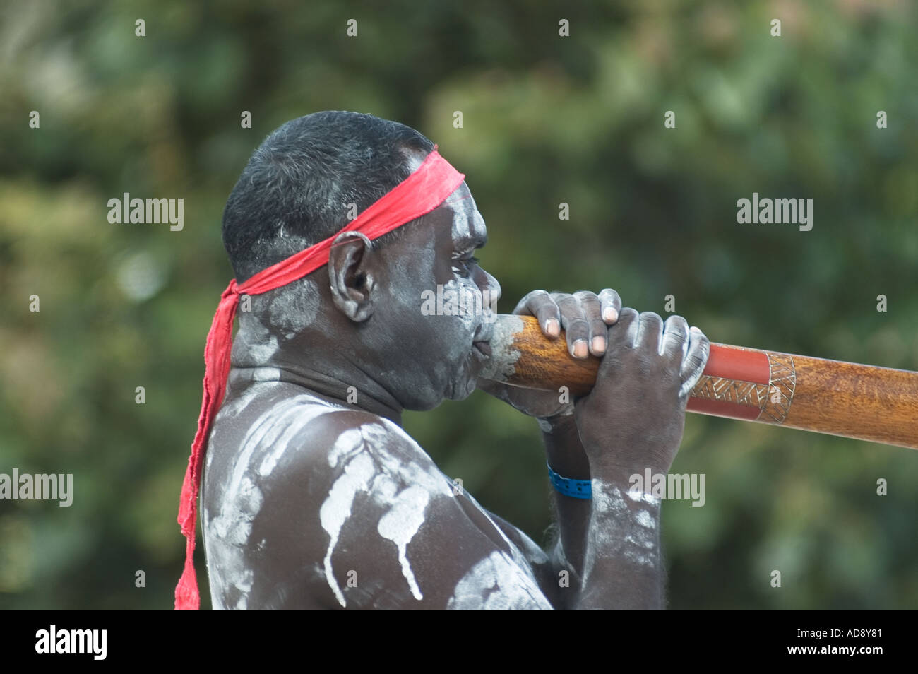 Aboriginal dancer at first person festival Stock Photo - Alamy