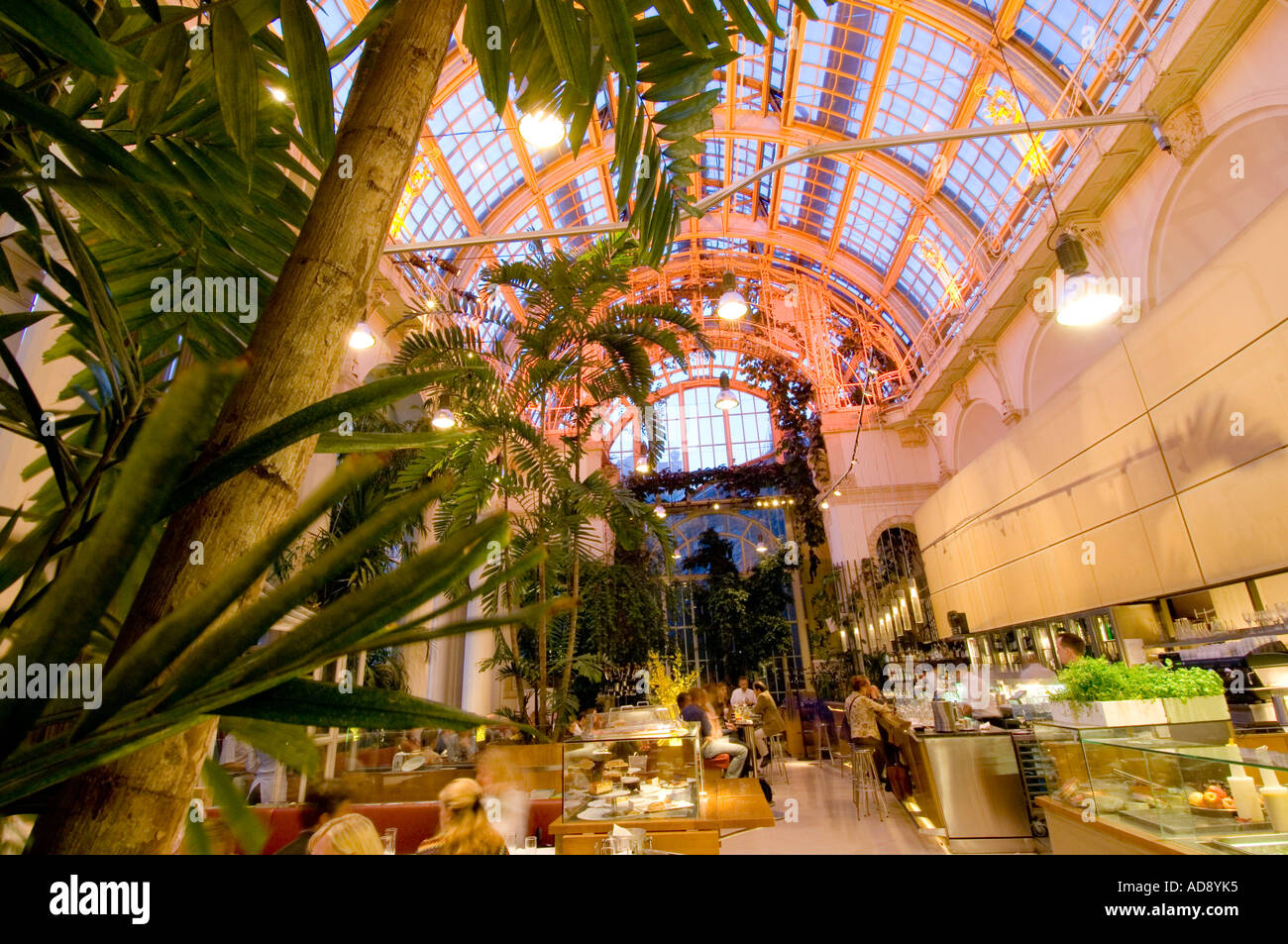 Palm house cafe Stock Photo - Alamy