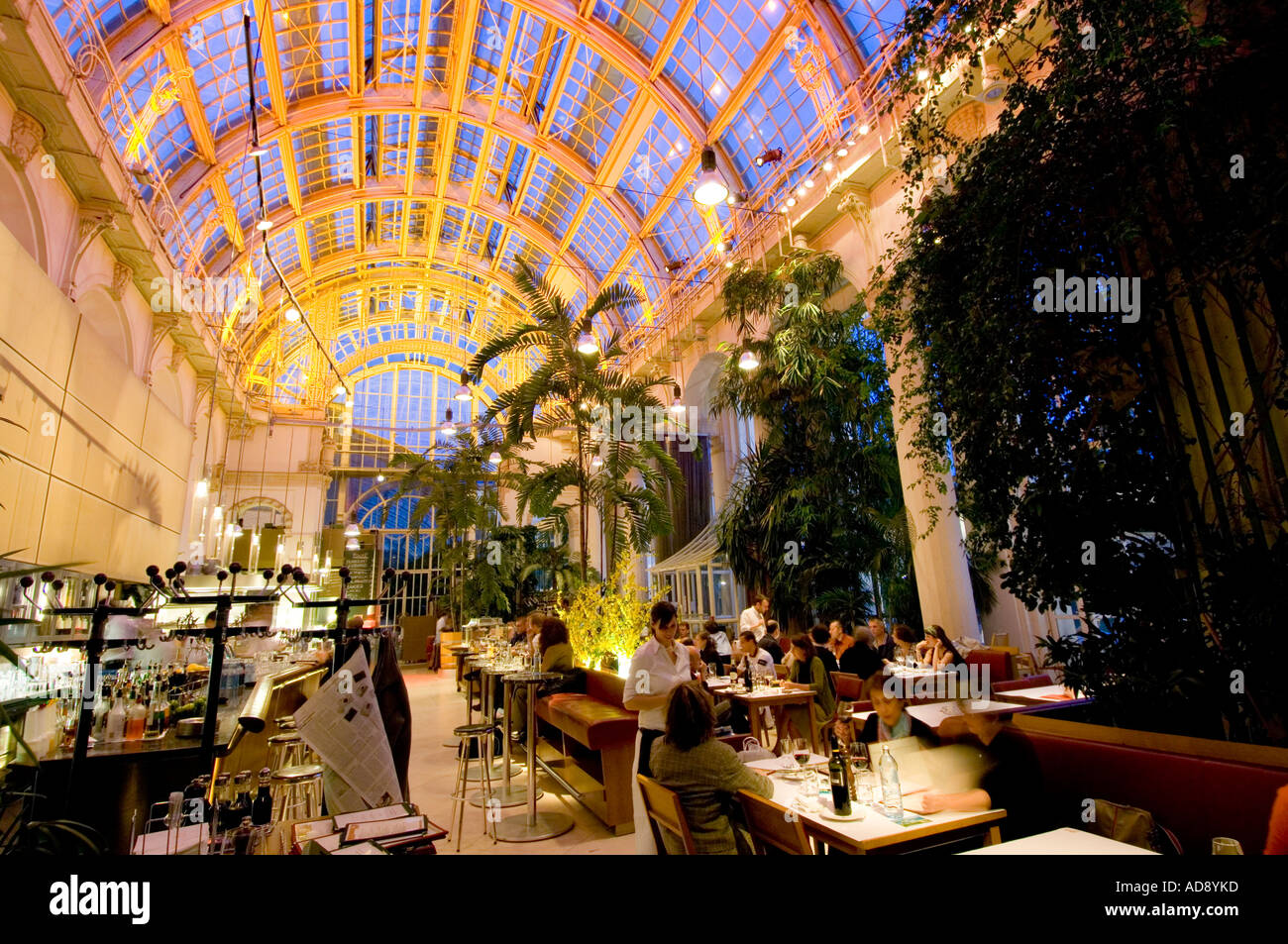 Palm house cafe Stock Photo - Alamy