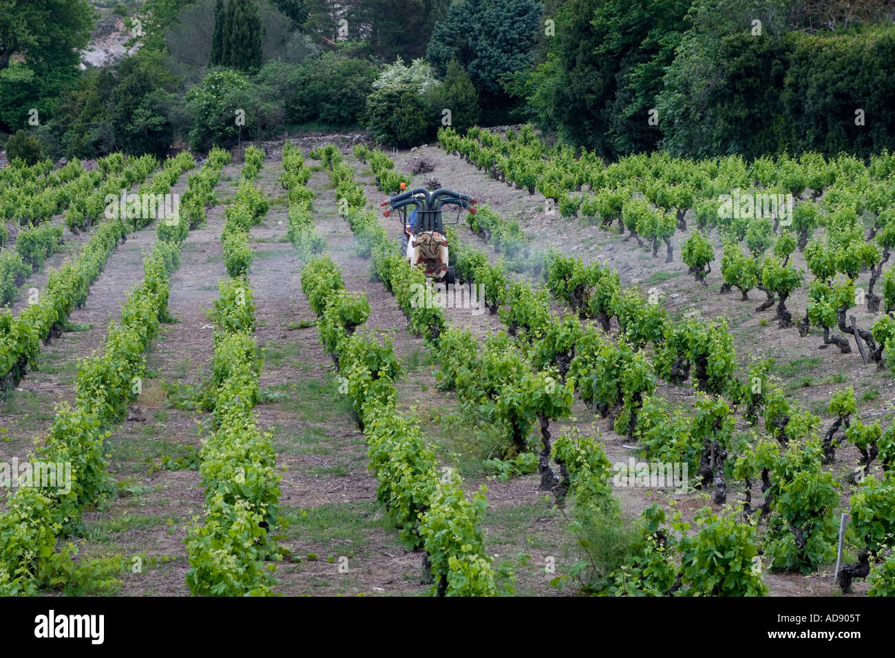 Vineyard crop spraying tractor hi-res stock photography and images - Alamy