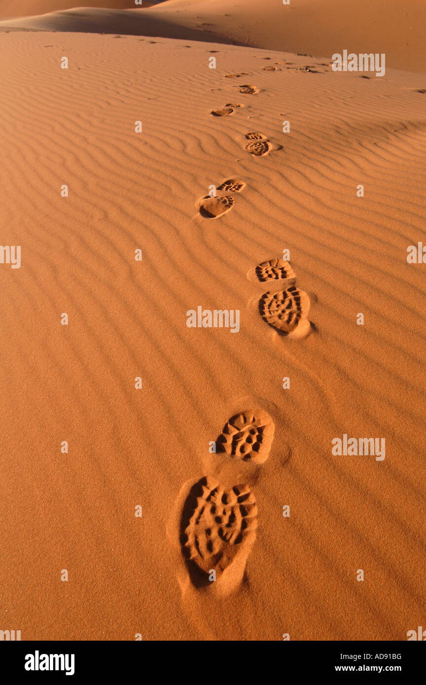 Human footsteps in the sand in the sand dunes of Erg Chebbi in the ...