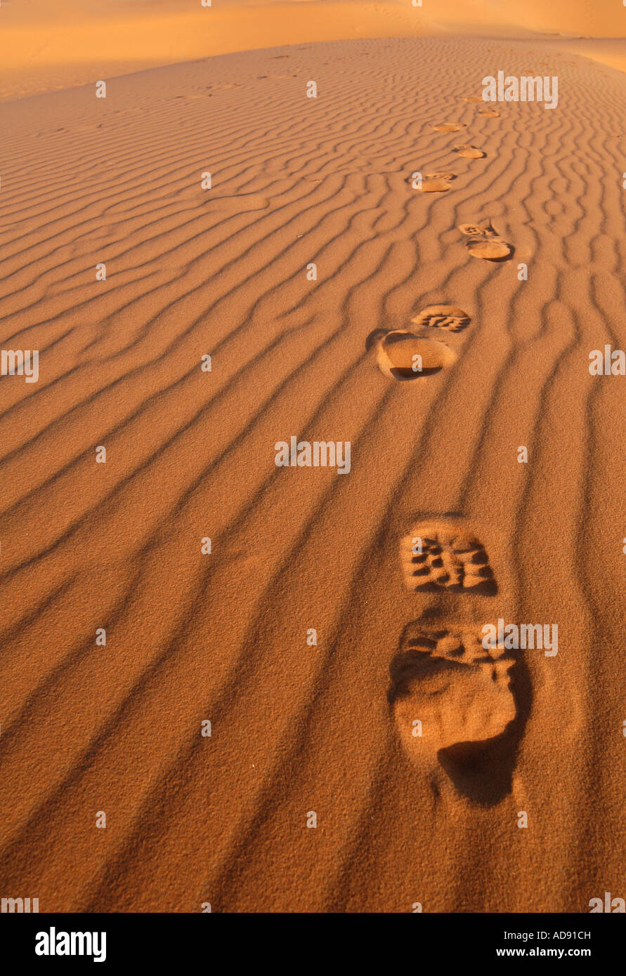 Human footsteps in the sand in the sand dunes of Erg Chebbi in the ...