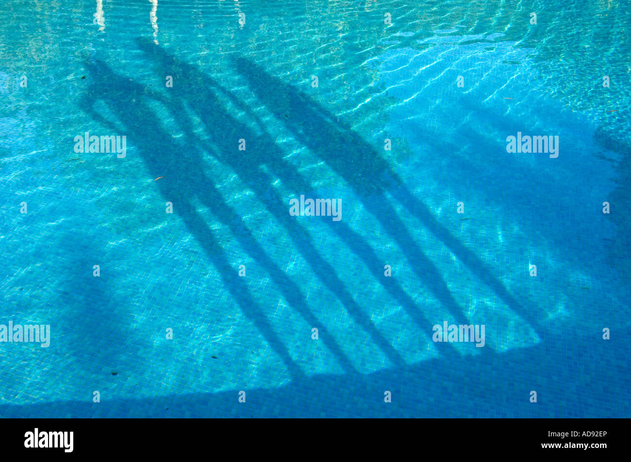 Swimming pool swim hi-res stock photography and images - Alamy