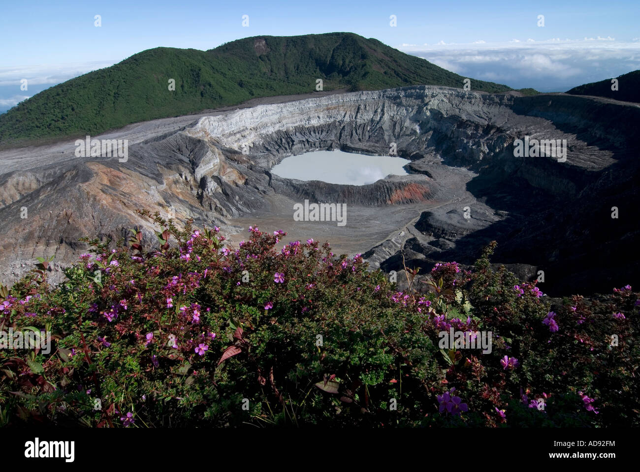 Crater lake, volcano Poas. Poas National Park. Central Valley. Costa ...