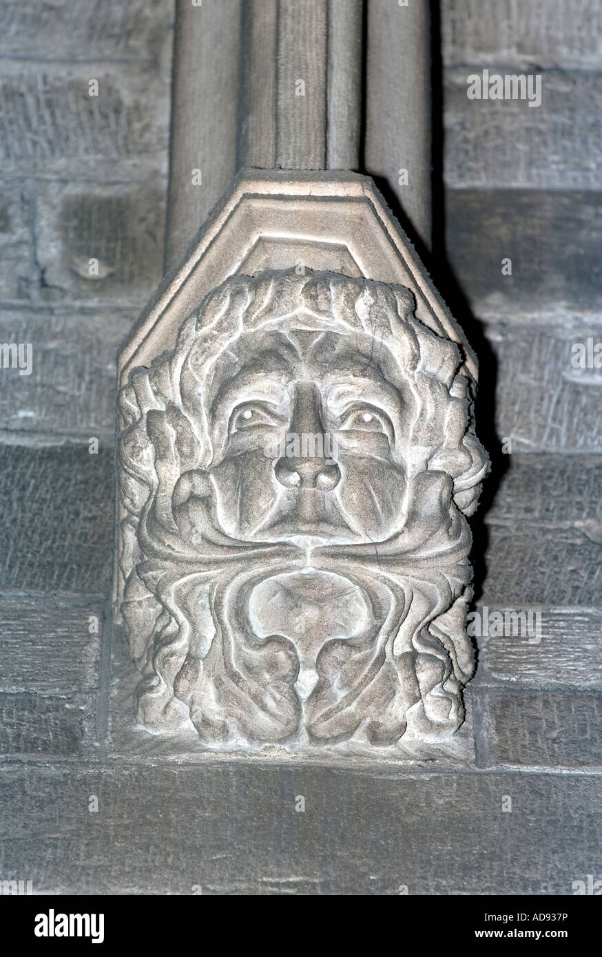 Green man carving foliate hi-res stock photography and images - Alamy