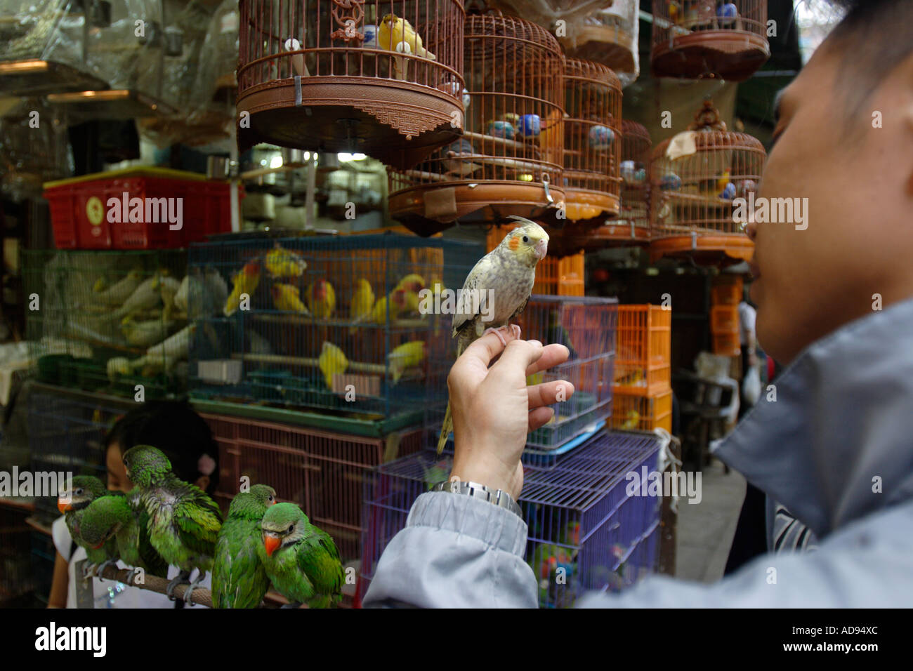 Hong Kong's bird market in Kowloon Stock Photo - Alamy