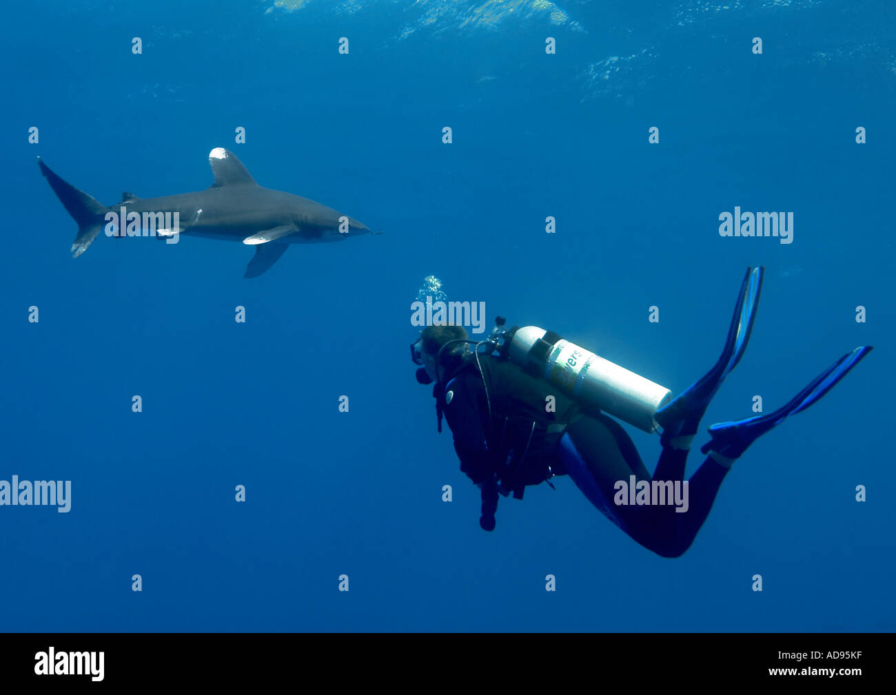 Oceanic peril hi-res stock photography and images - Alamy