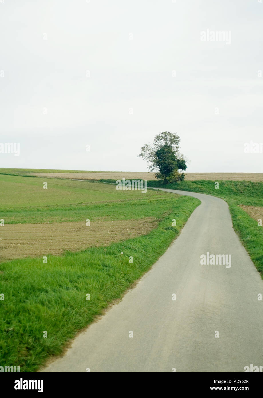 Rural road through green landscape Stock Photo - Alamy