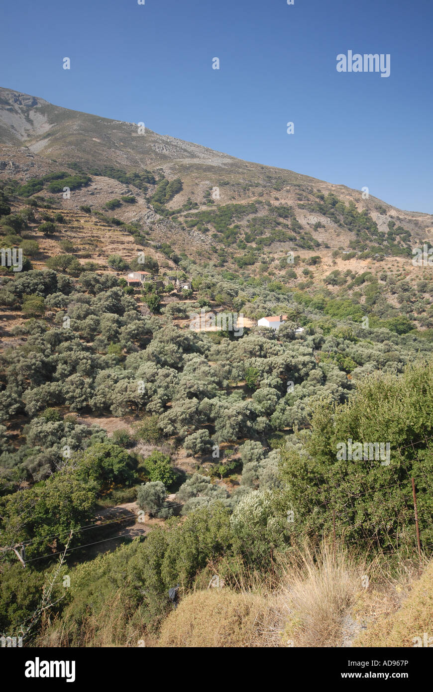 CRETE Countryside in the far west of Hania province Stock Photo - Alamy