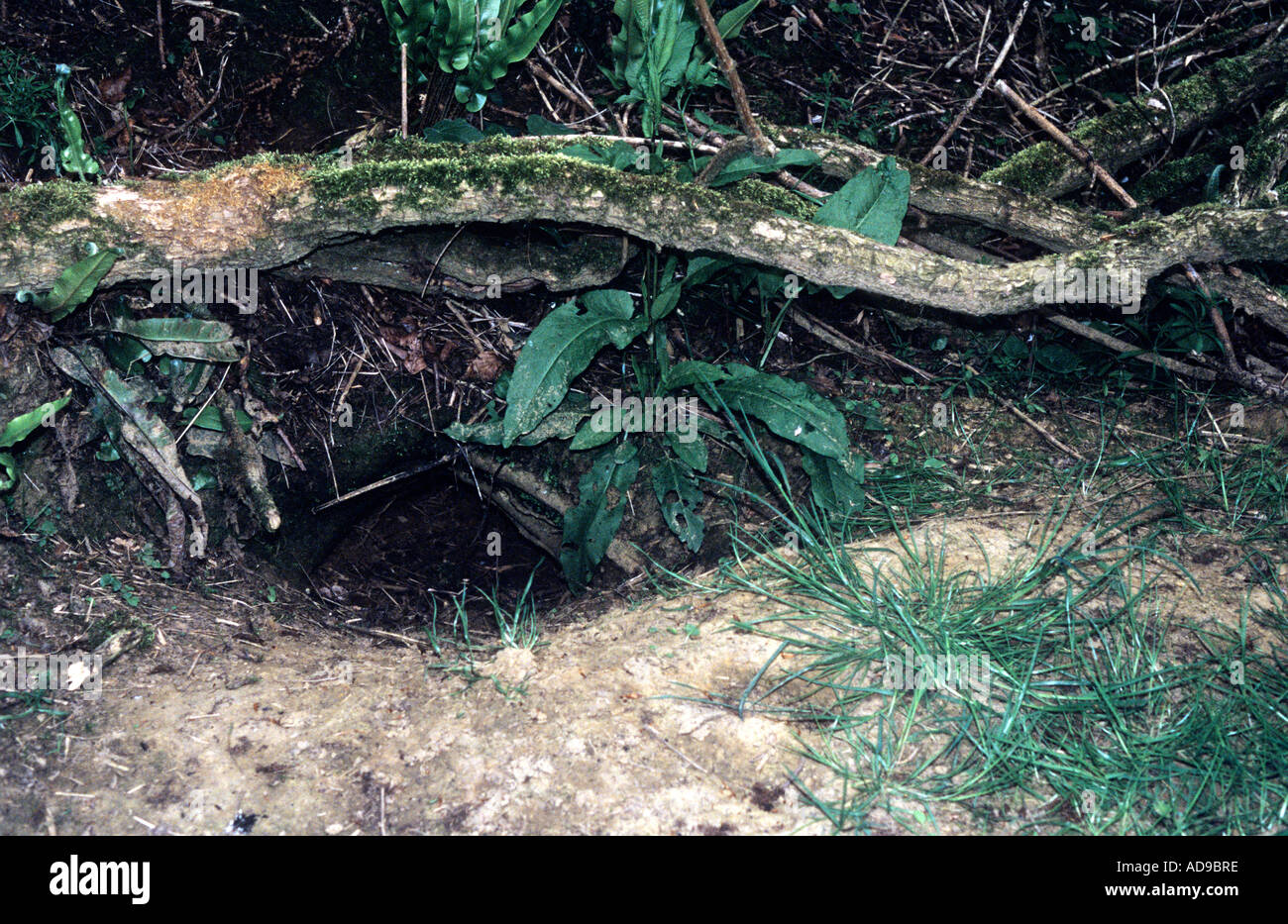 Underground sett hi-res stock photography and images - Alamy