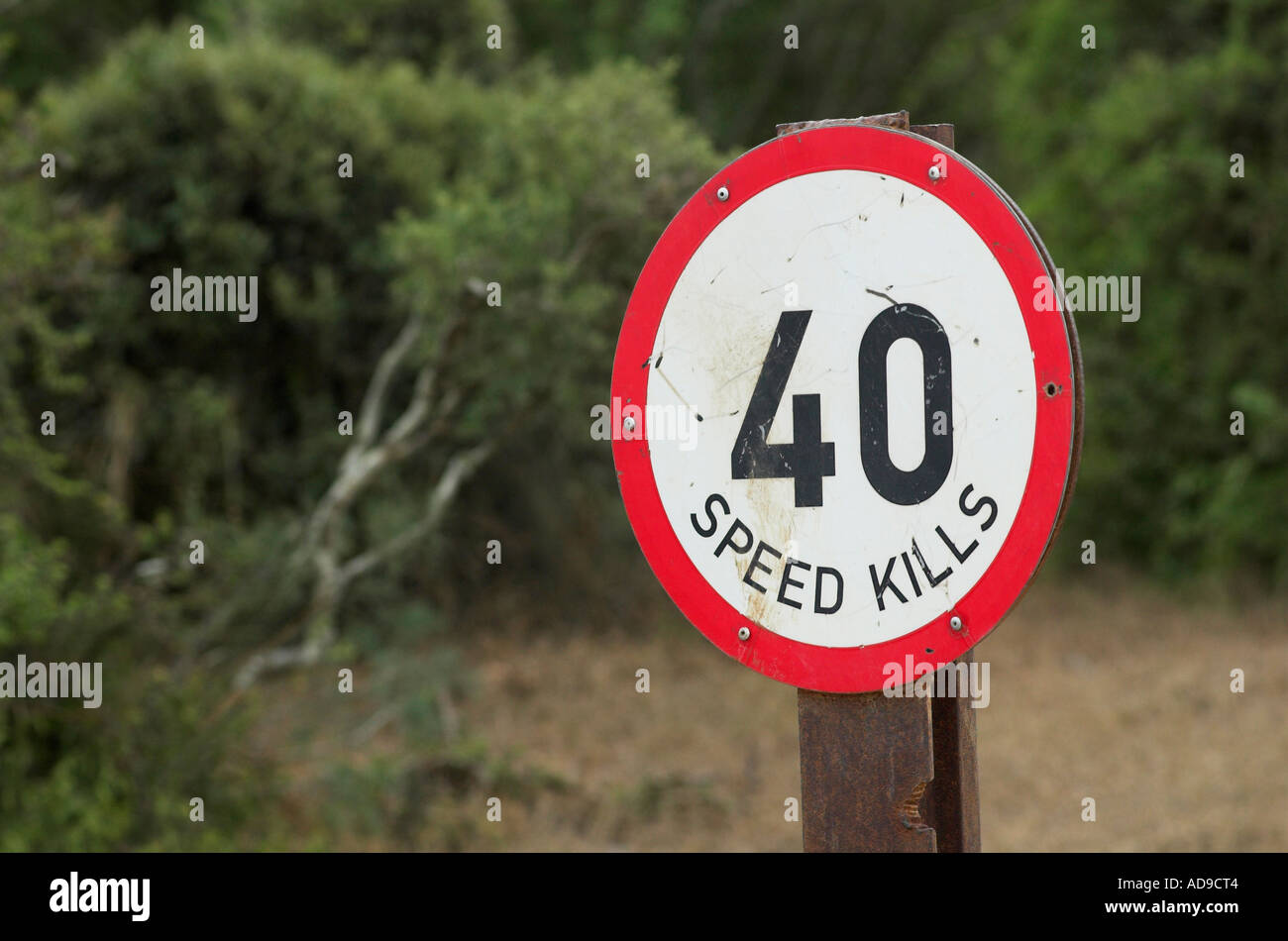 Traffic warning sign Stock Photo - Alamy
