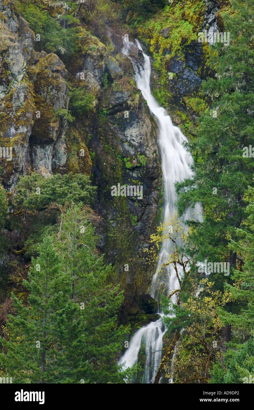 Taylor creek hi-res stock photography and images - Alamy