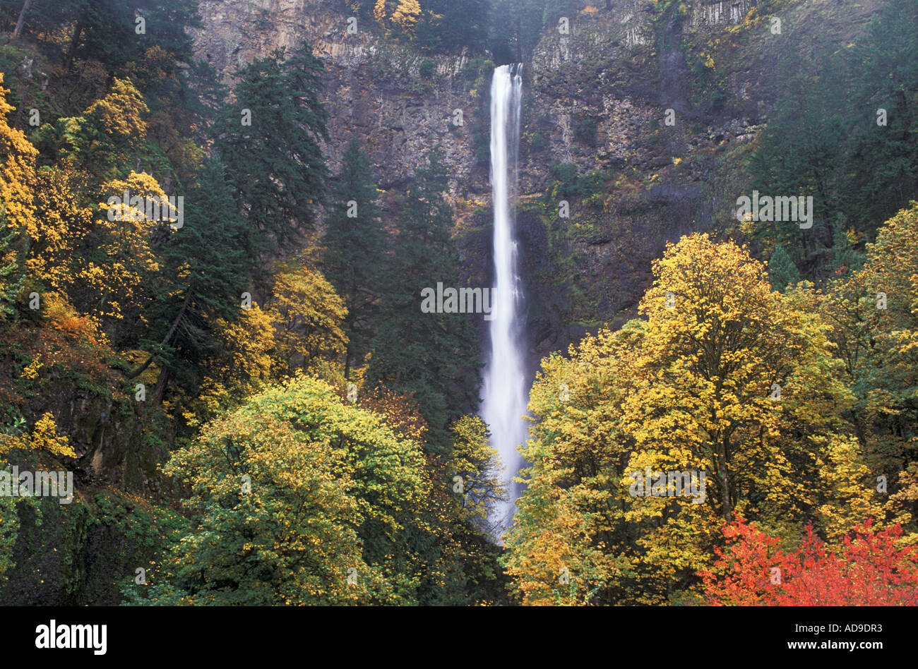 Oregon horizontal hanging hi-res stock photography and images - Alamy