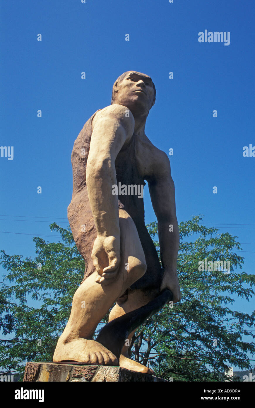 Caveman hi-res stock photography and images - Alamy