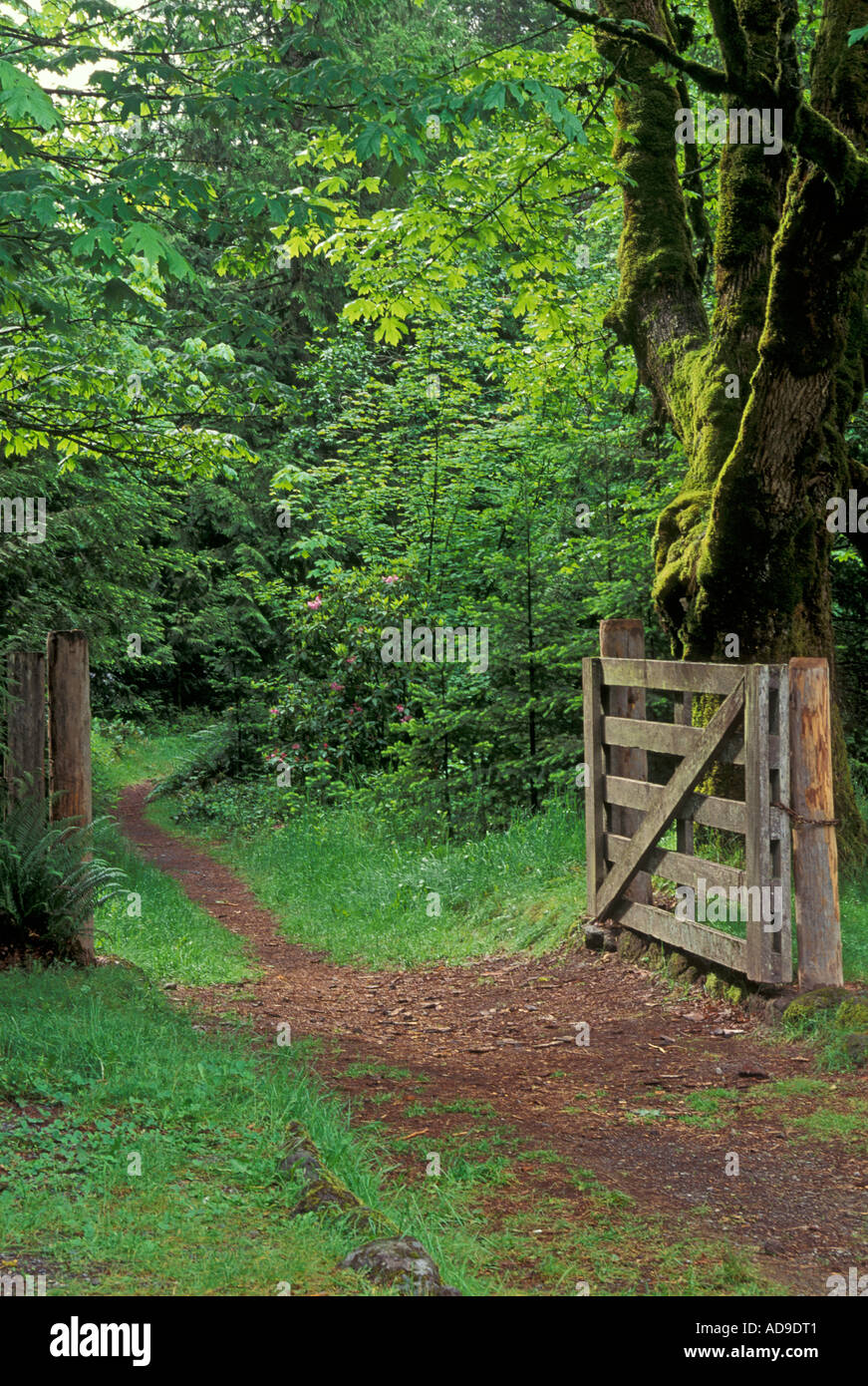 Barlow Road tollgate replica on the Old Oregon Trail Mount Hood ...