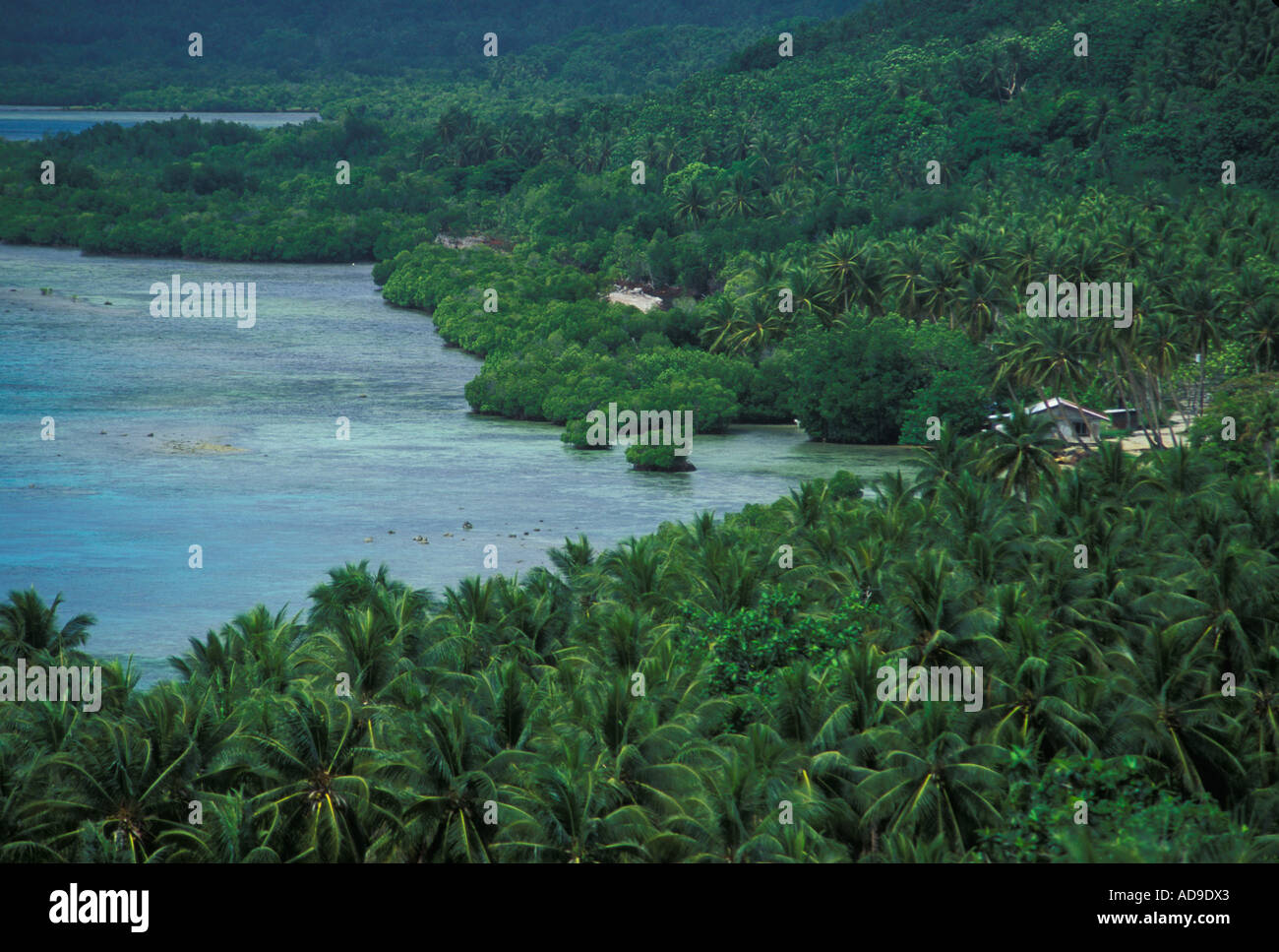 Palm trees coast and Truk Lagoon from Xavier High School viewpoint Weno ...