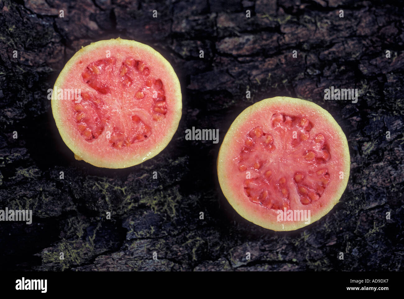 Guava fruit cut in half Stock Photo - Alamy