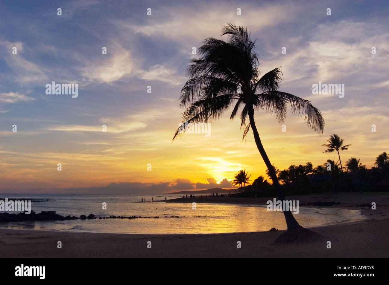 Sunset at Poipu Beach Park with palm tree and swimming cove Poipu Kauai ...