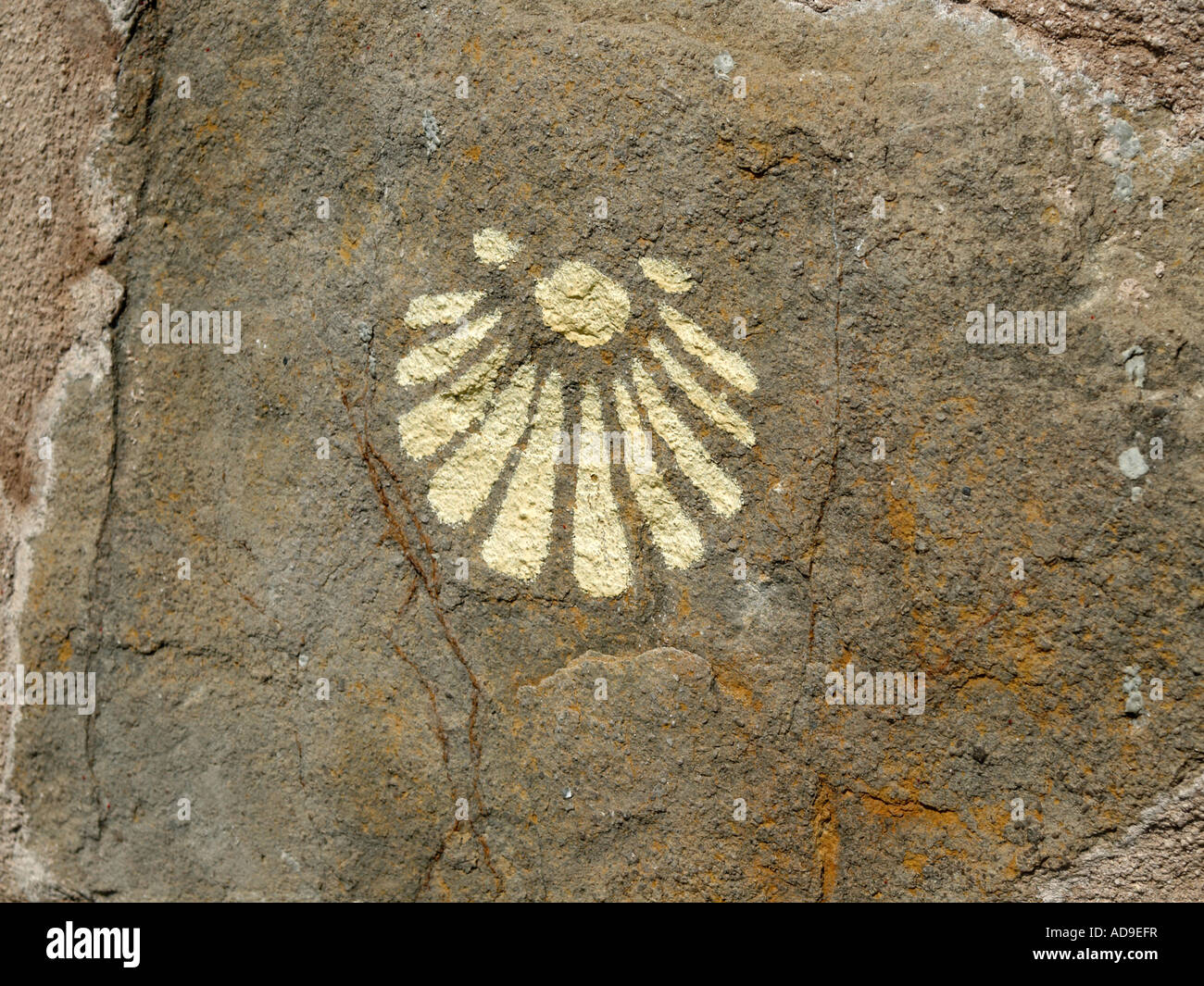 symbol with shell for the pilgrim route Way of Saint James Stock Photo ...