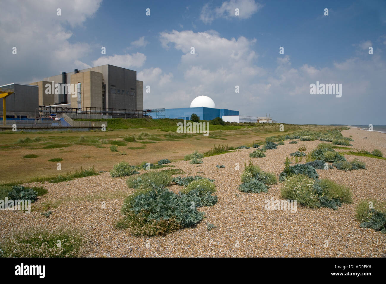 Sizewell Power Station & Reactor Suffolk UK June Stock Photo - Alamy