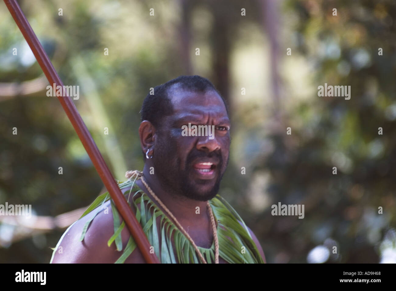 Traditional elder form Ti Torres strait islands in spear dance ...