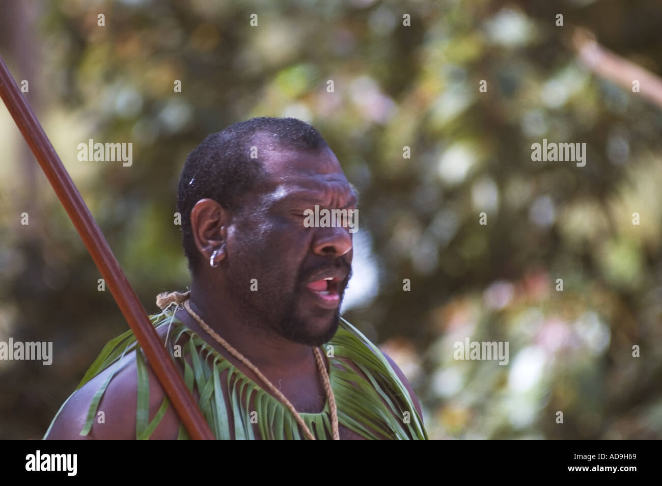 Traditional elder form Ti Torres strait islands in spear dance ...
