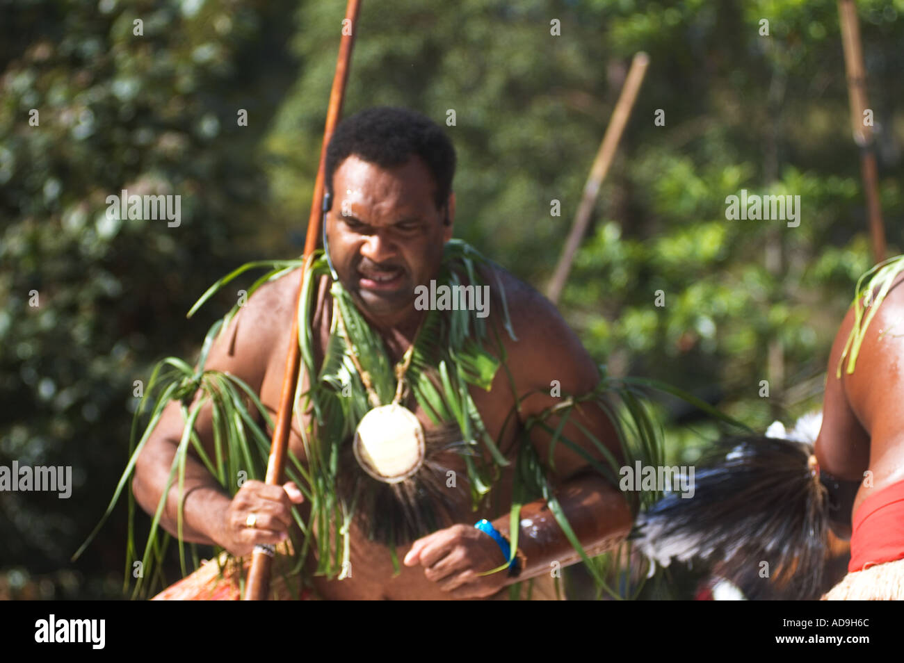 Traditional elder form Ti Torres strait islands in spear dance ...