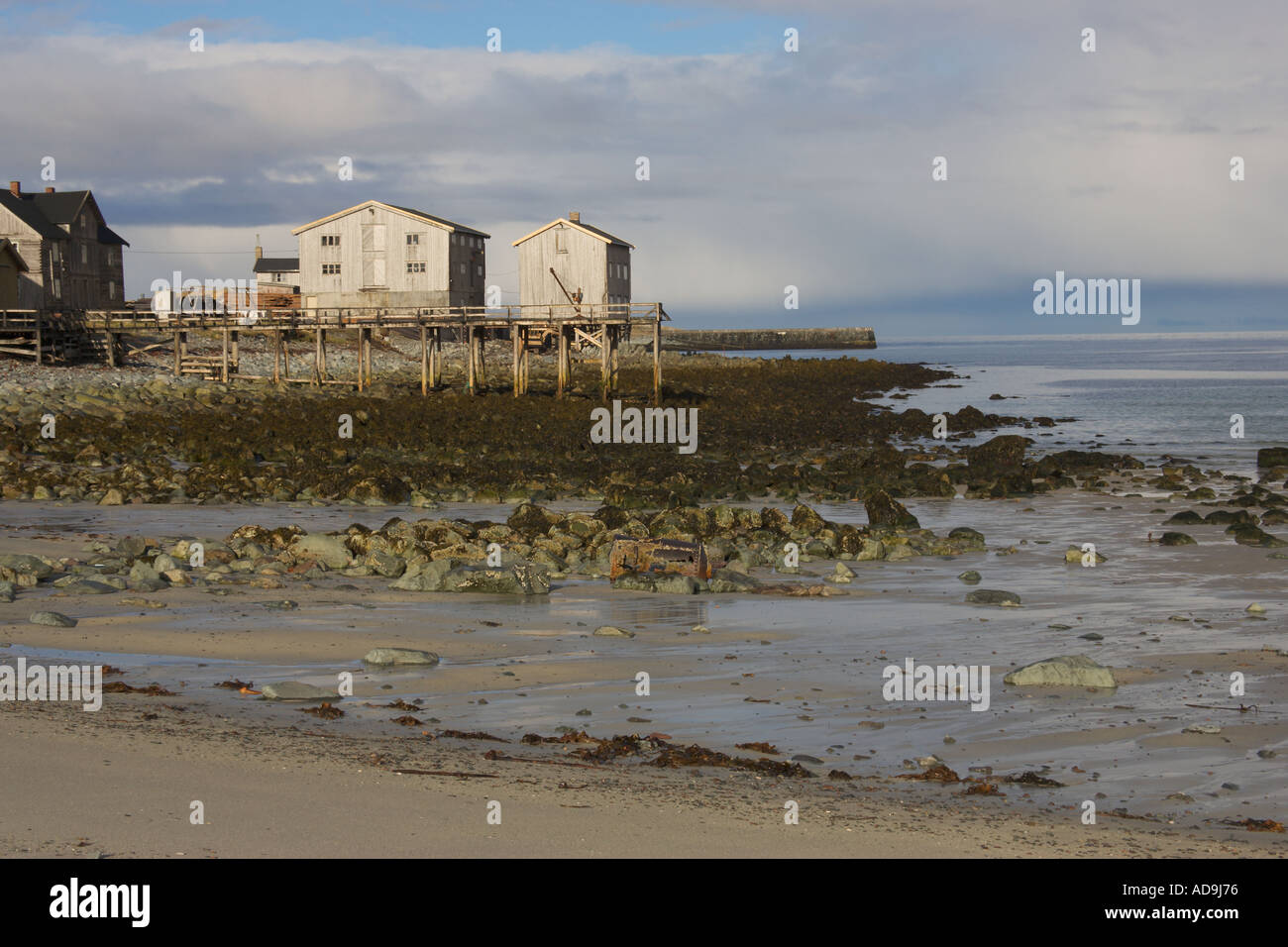 Old fishing wharf Hamningberg Finnmark Stock Photo - Alamy