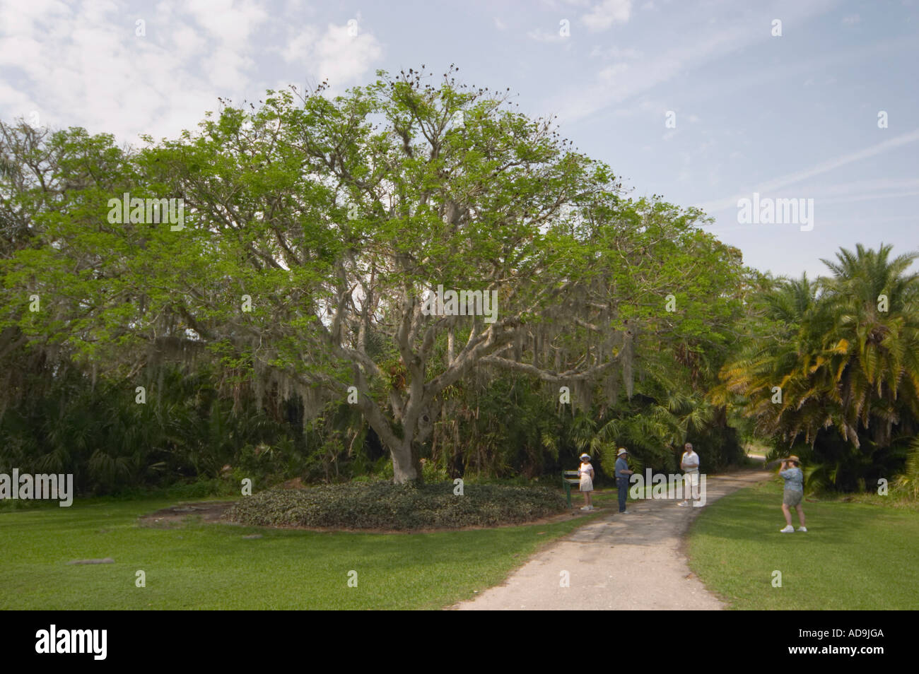 History of southeastern u s hi-res stock photography and images - Alamy