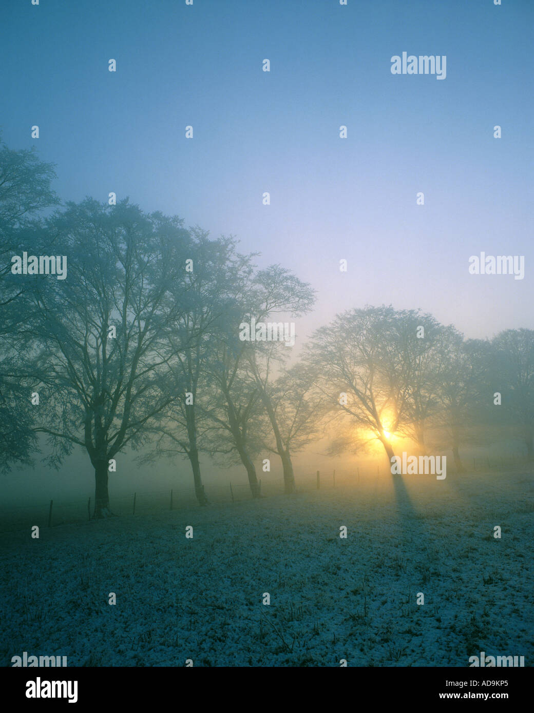 Flint hall farm hi-res stock photography and images - Alamy