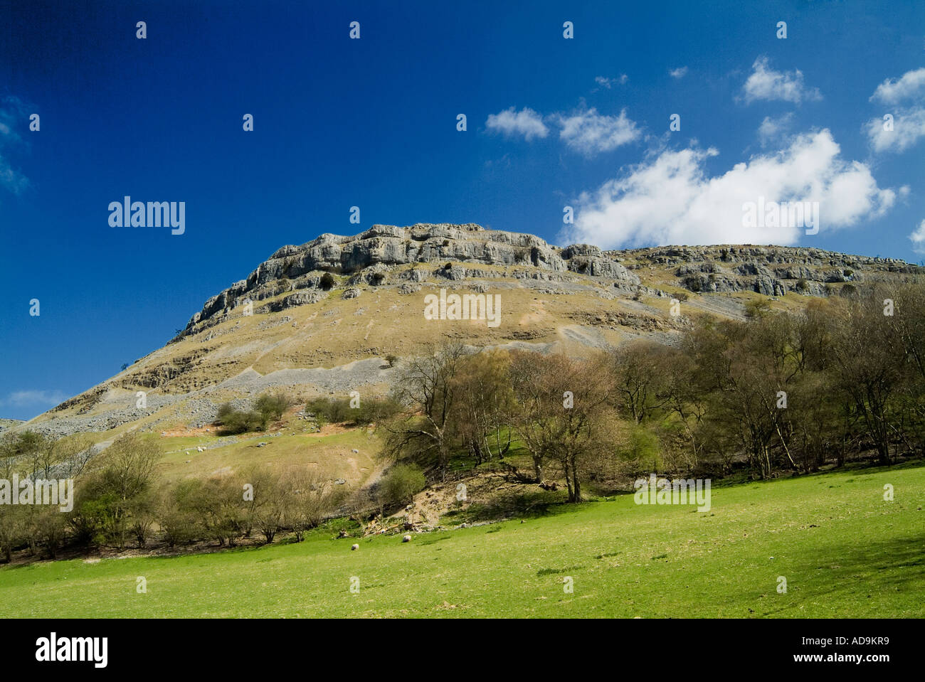 Limestone escarpment above Llangollen in North Wales, UK Stock Photo ...