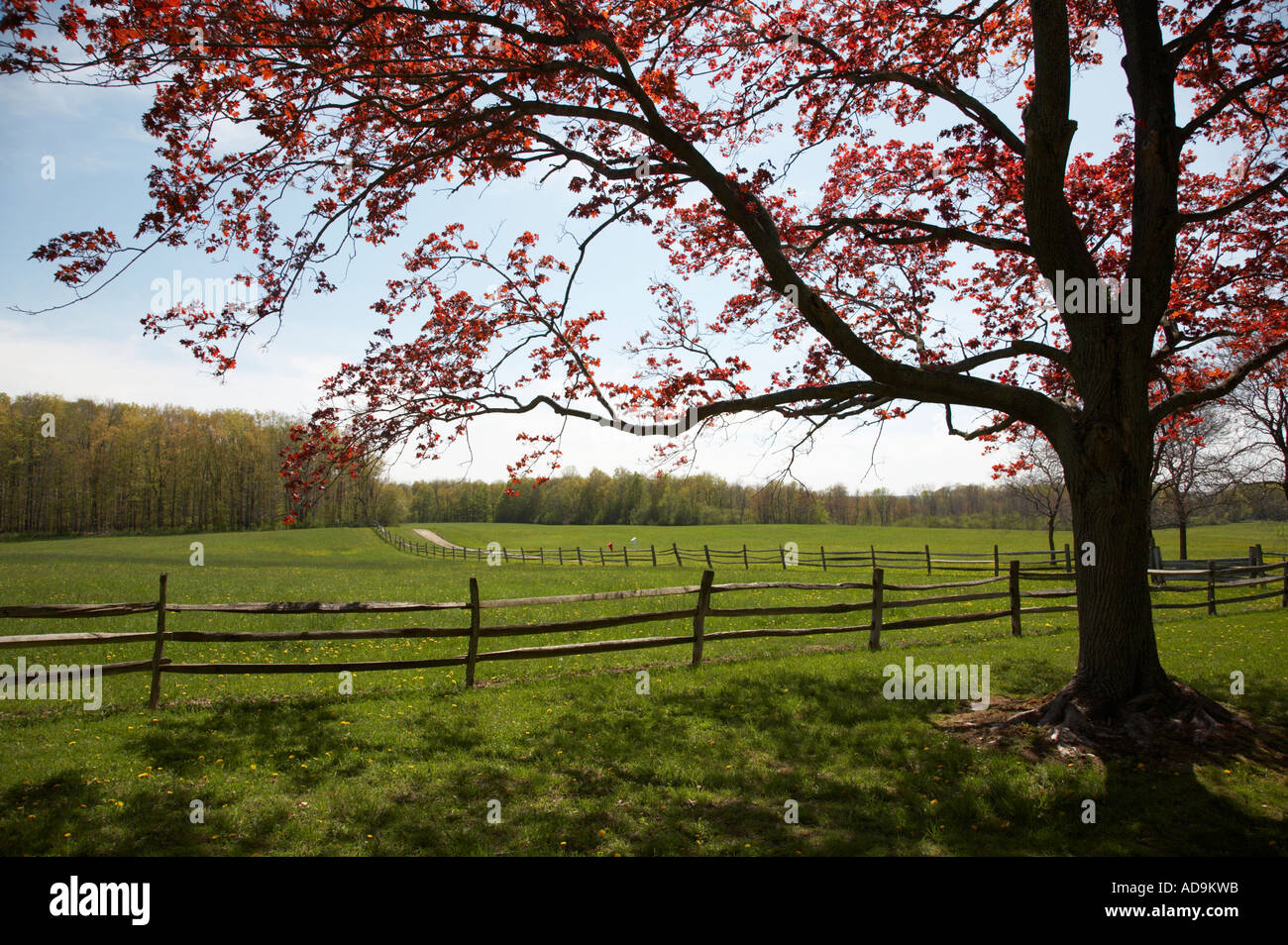 Knox farm east aurora hi-res stock photography and images - Alamy