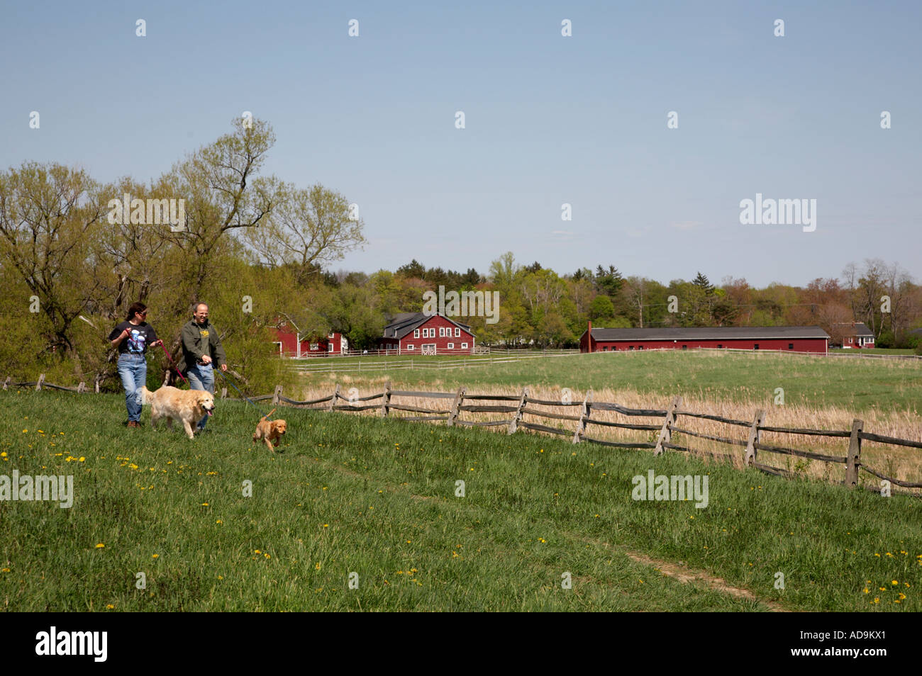 Knox farm east aurora hi-res stock photography and images - Alamy