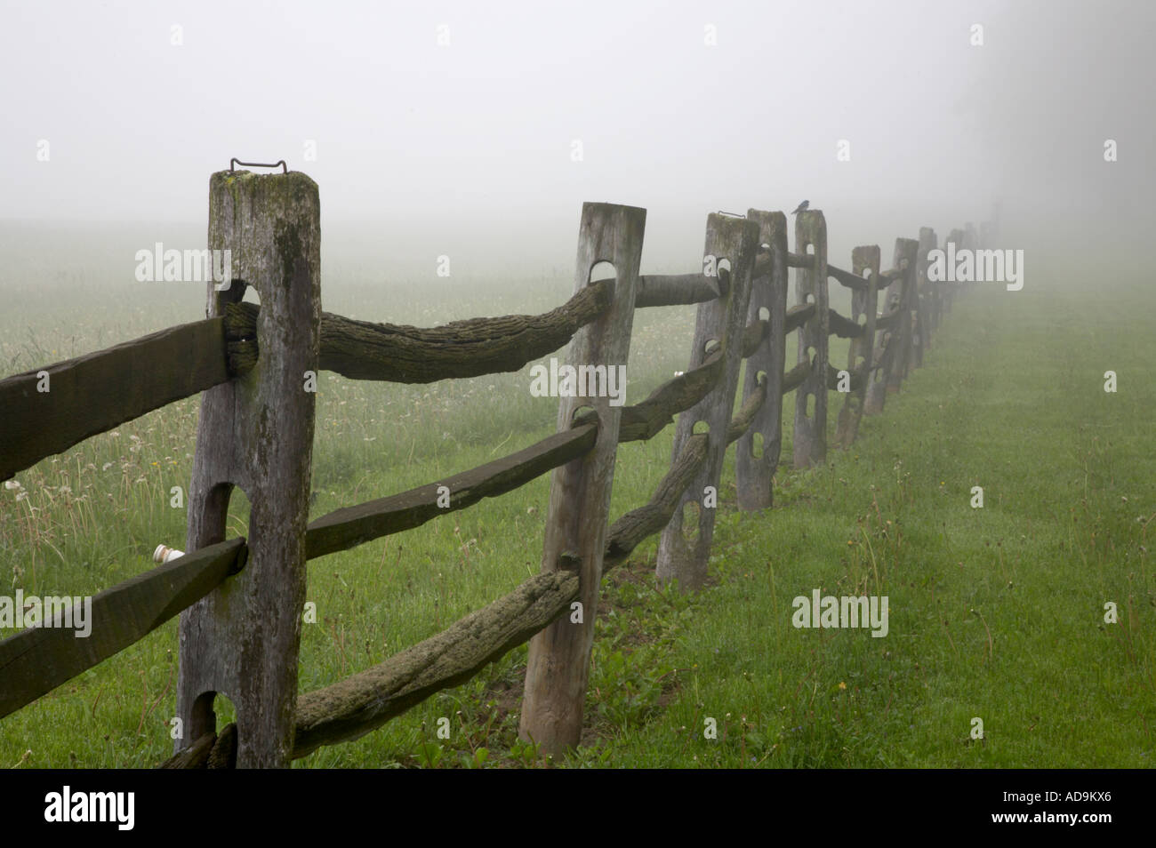 Fence in early morning fog at Knox Farm State Park in East Aurora New ...
