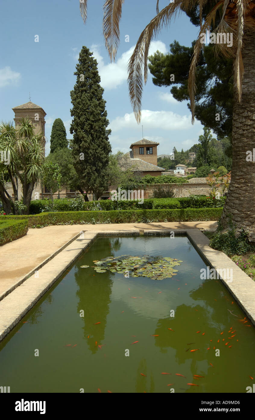 Medina La Alhambra Granada Andalusia, Southern Spain Stock Photo - Alamy
