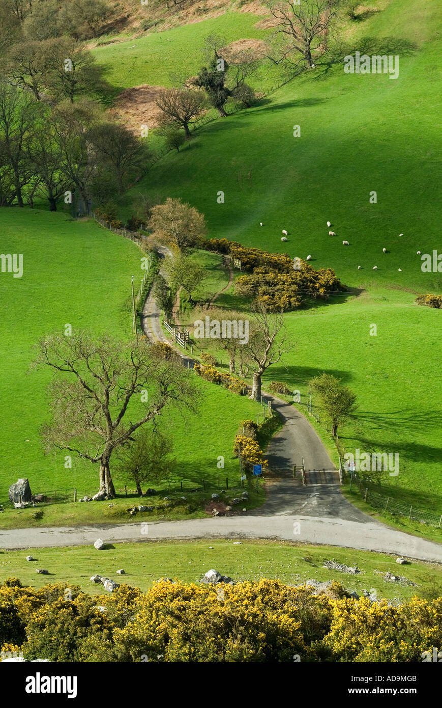 Country lane above Llangollen in North Wales leading to the tourist ...