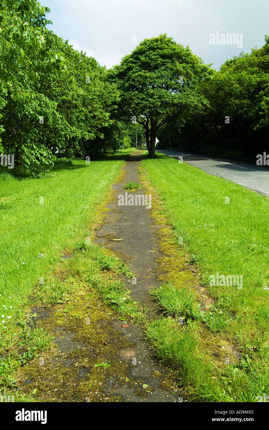 Poorly maintained footpath falling into disrepair due to lifestyle ...
