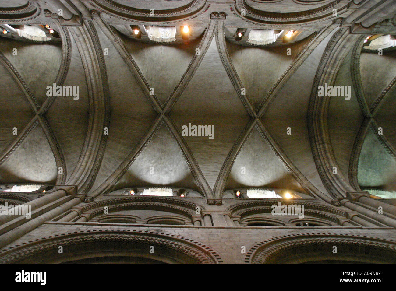 Ceiling of Durham Cathedral England UK Stock Photo - Alamy